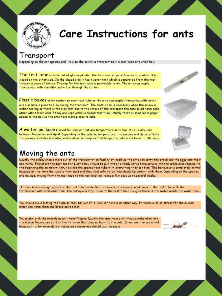 Care Instructions For Ants | PDF | Ant | Nest