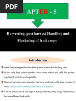 Indigenous Fruits of Zimbabwe Overview | PDF | Fruit