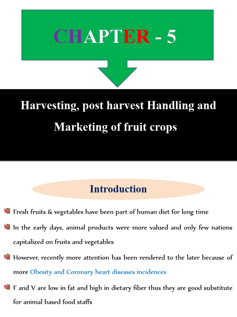 Fruit Chapter 5 | PDF | Postharvest | Vegetables