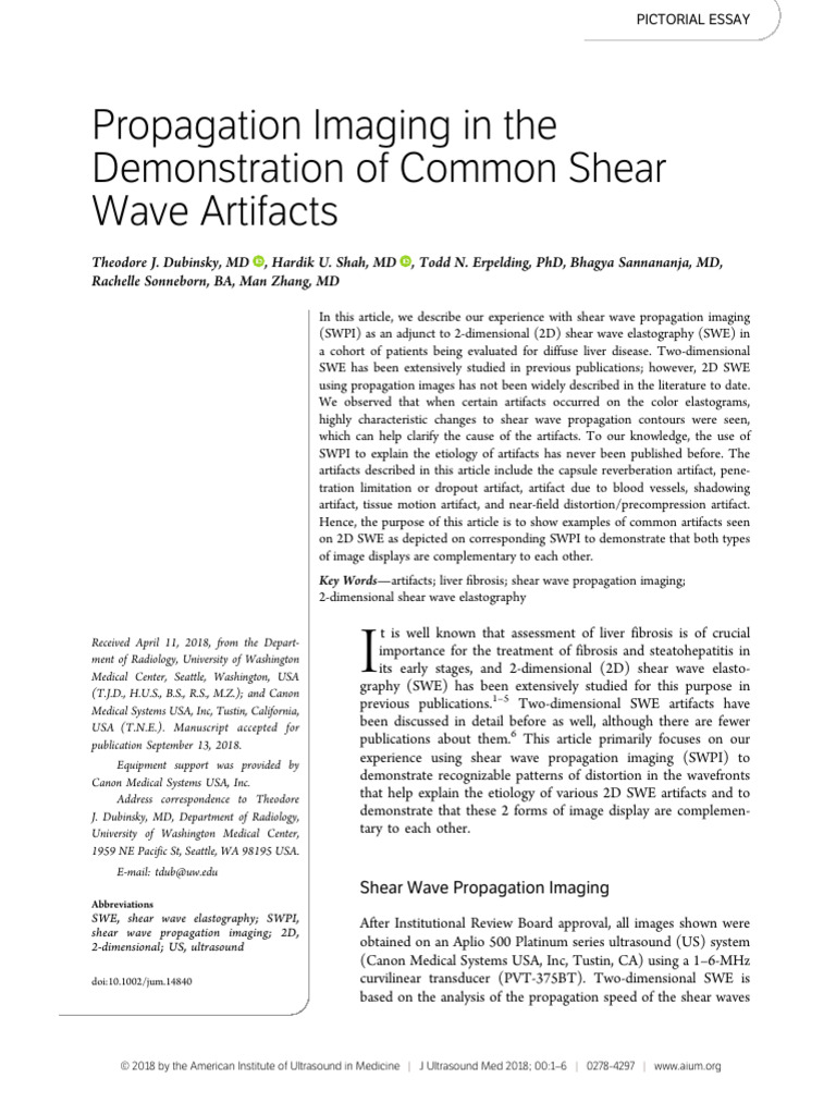 Propagation Imaging in the Demonstration of Common Shear Wave Artifacts ...