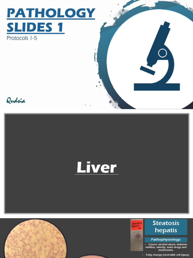 Pathology Slides by Organ 1-1 | PDF | Thrombus | Liver