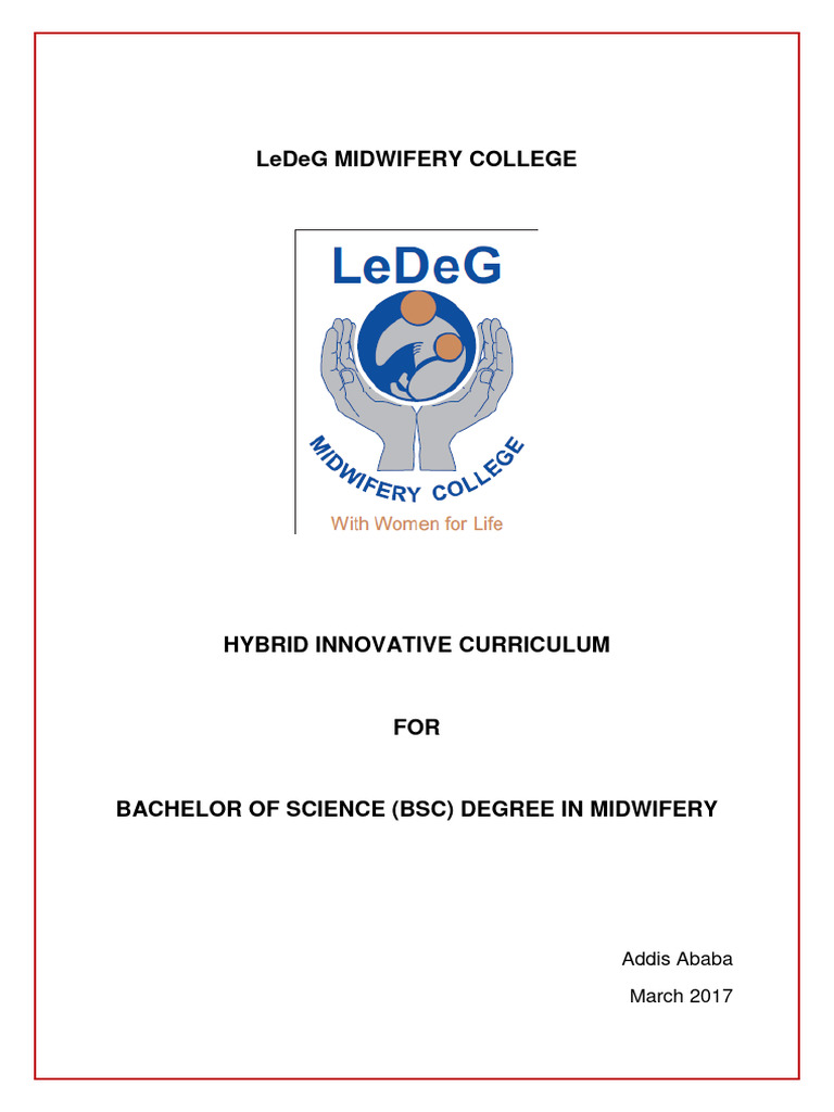 Final Curriculum 1 | PDF