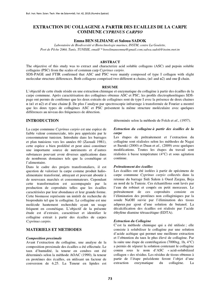 Extraction Du Collagene A Partir Des Ecailles de La Carpe Commune ...