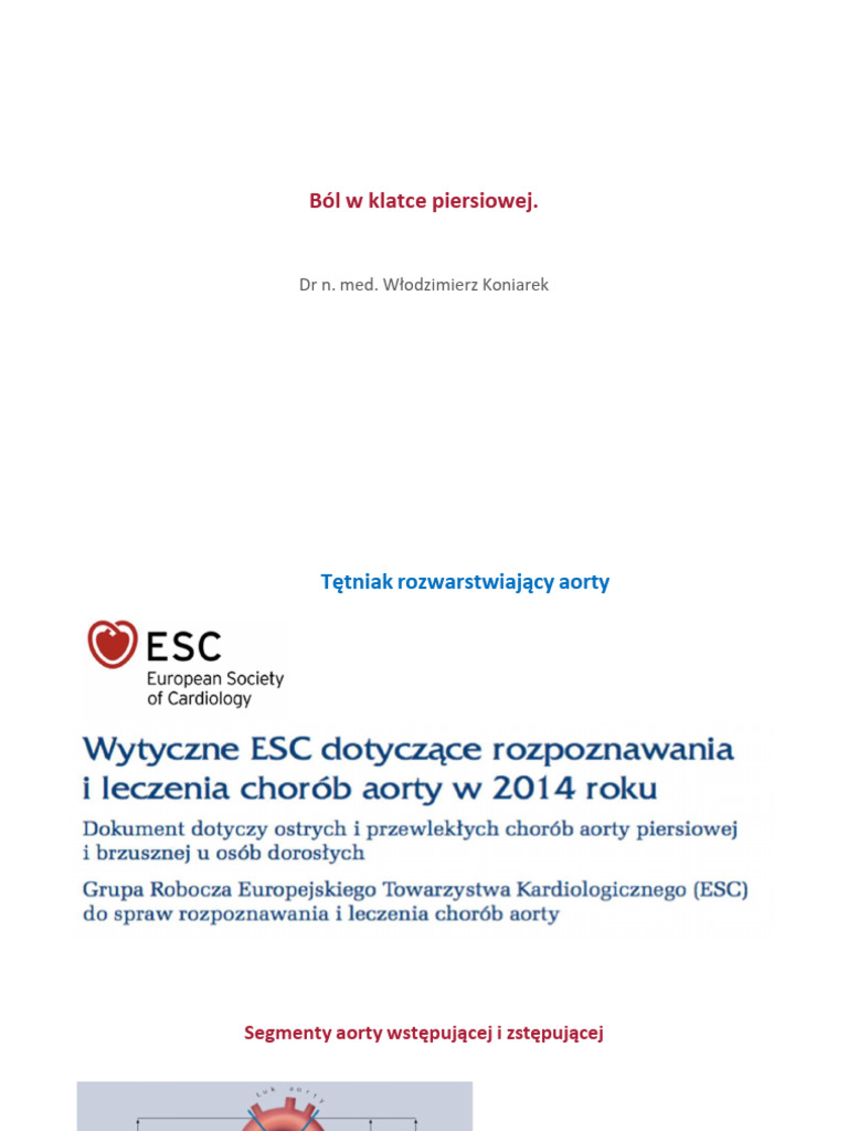 Ćwiczenia Z Kitki | PDF