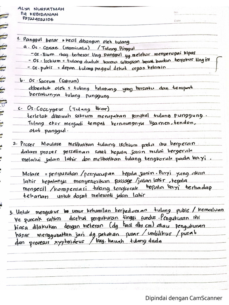 Alya Nurfatmah P27224022106 Sistem Skeletal | PDF