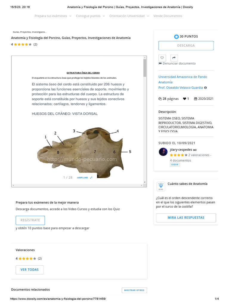 Anatomía y Fisiología Del Porcino - Guías, Proyectos, Investigaciones ...