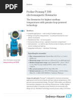 Endress-Hauser Proline Promag P 300 5P3B EN | PDF | Flow Measurement ...