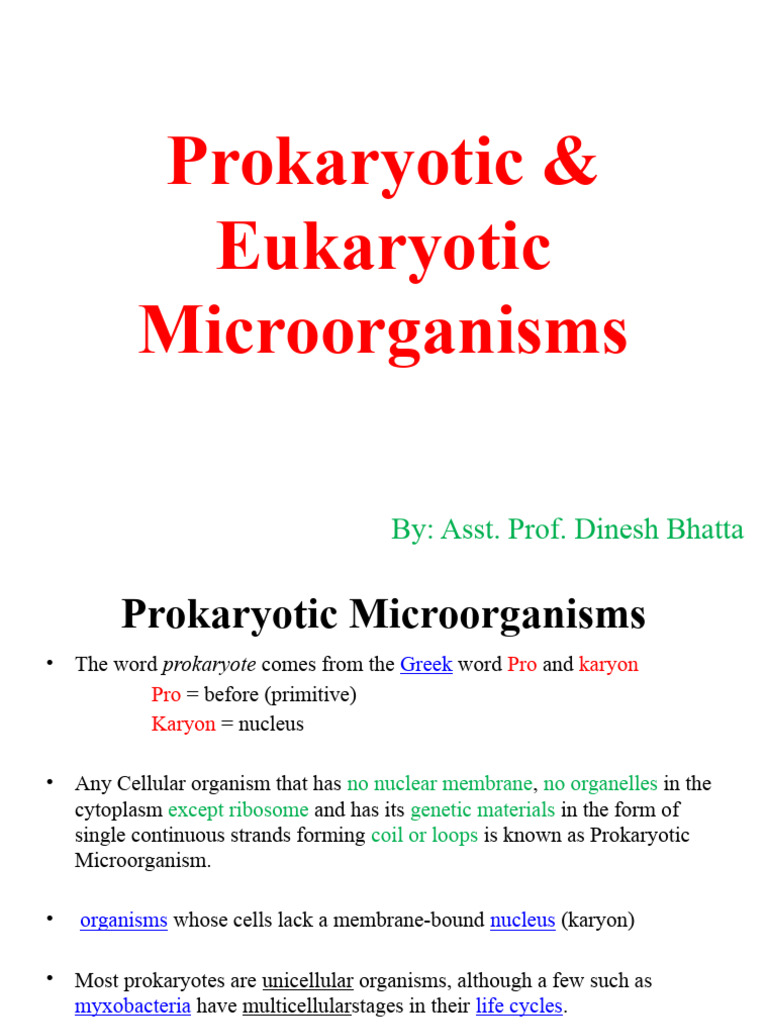 3-Prokaryotic - Eukaryotic Microorganisms | PDF | Cell (Biology ...