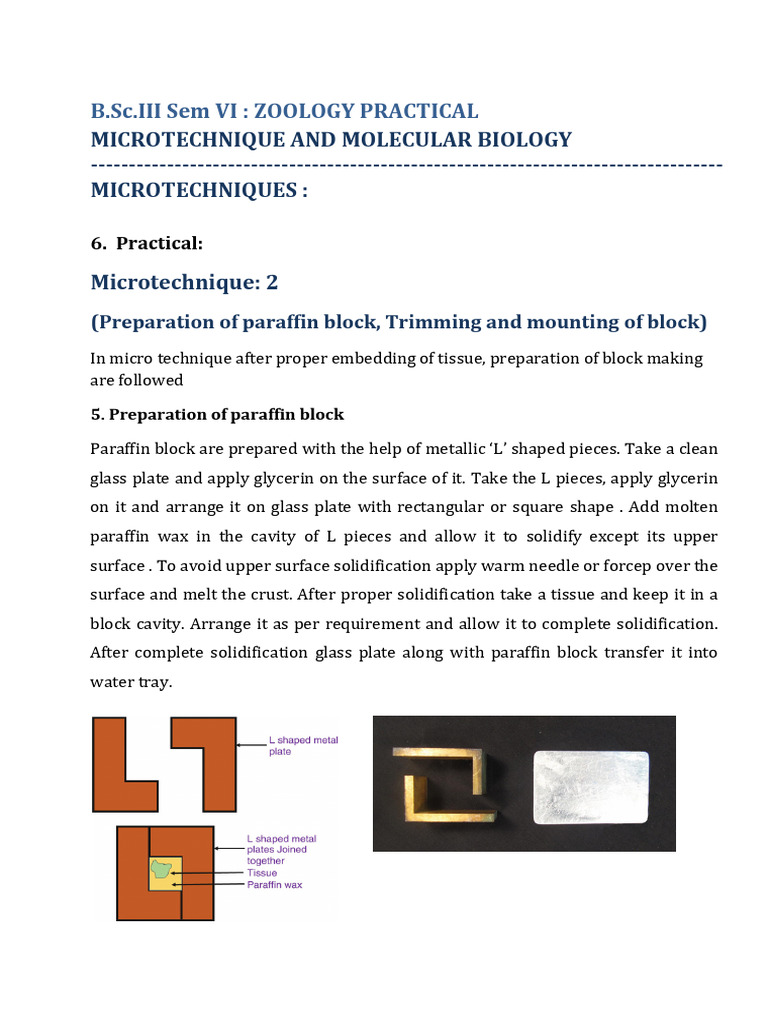 6 Practical Microtechnique | PDF | Laboratory Techniques | Microscopy