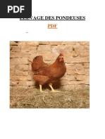 Projet Poulet Goliath | PDF