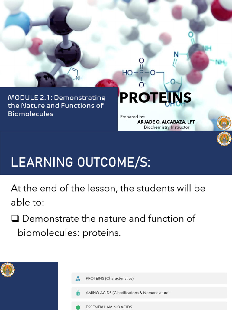 M2.2 Demonstrating The Nature and Function of Biomolecules Proteins | Download Free PDF | Amino ...