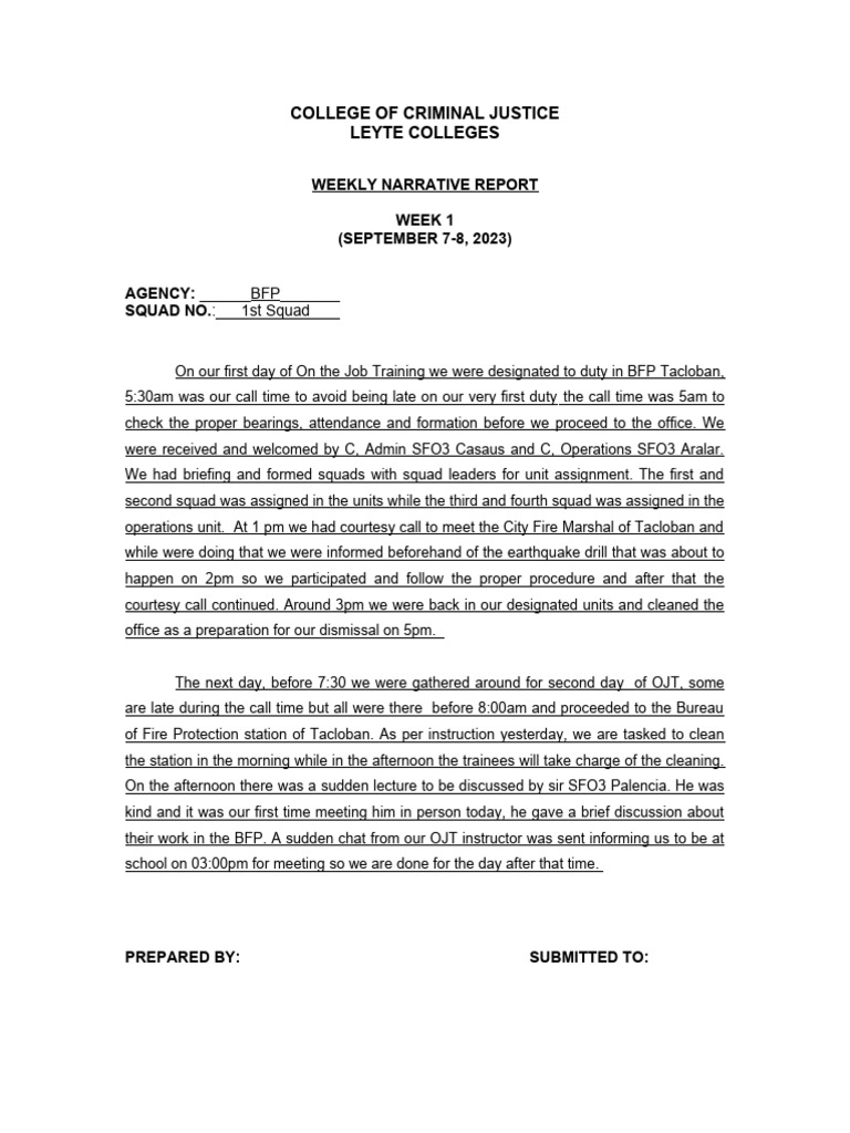 Narrative Report-Format | PDF