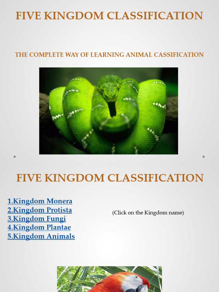 Five Kingdom Classification Overview | PDF | Plants | Moss