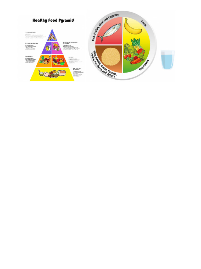 Food Pyramid | PDF