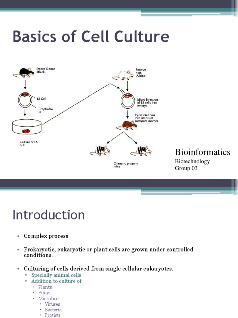 Cell Culture | PDF | Cell Culture | Cell (Biology)