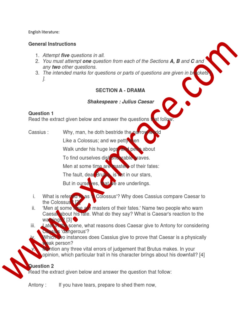 ICSE Class 10 English Literature 2003 | PDF | Julius Caesar | Michelangelo