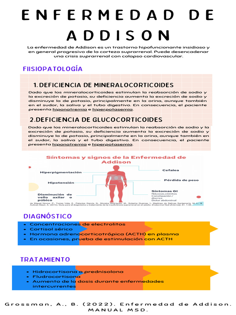Enfermedad de Addison | PDF