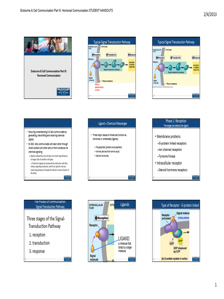 Hormonal Communication and Signal Pathways | PDF | Cell Signaling | Hormone