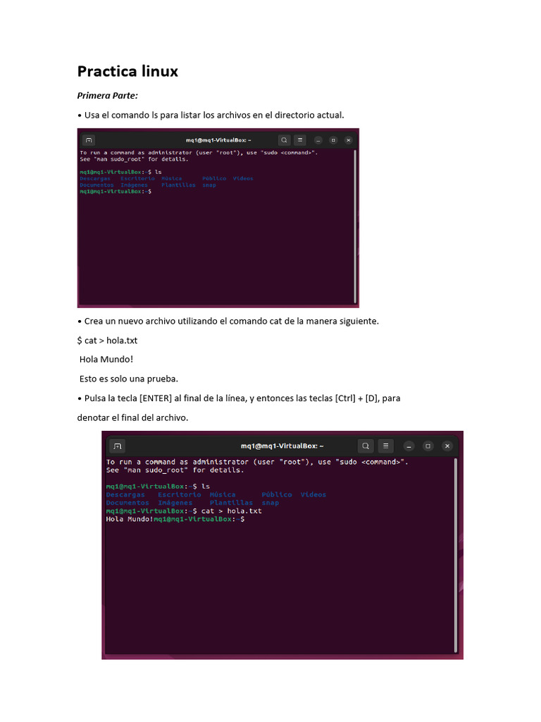 Práctica Linux | PDF | Archivo de computadora | Interfaz de línea de ...