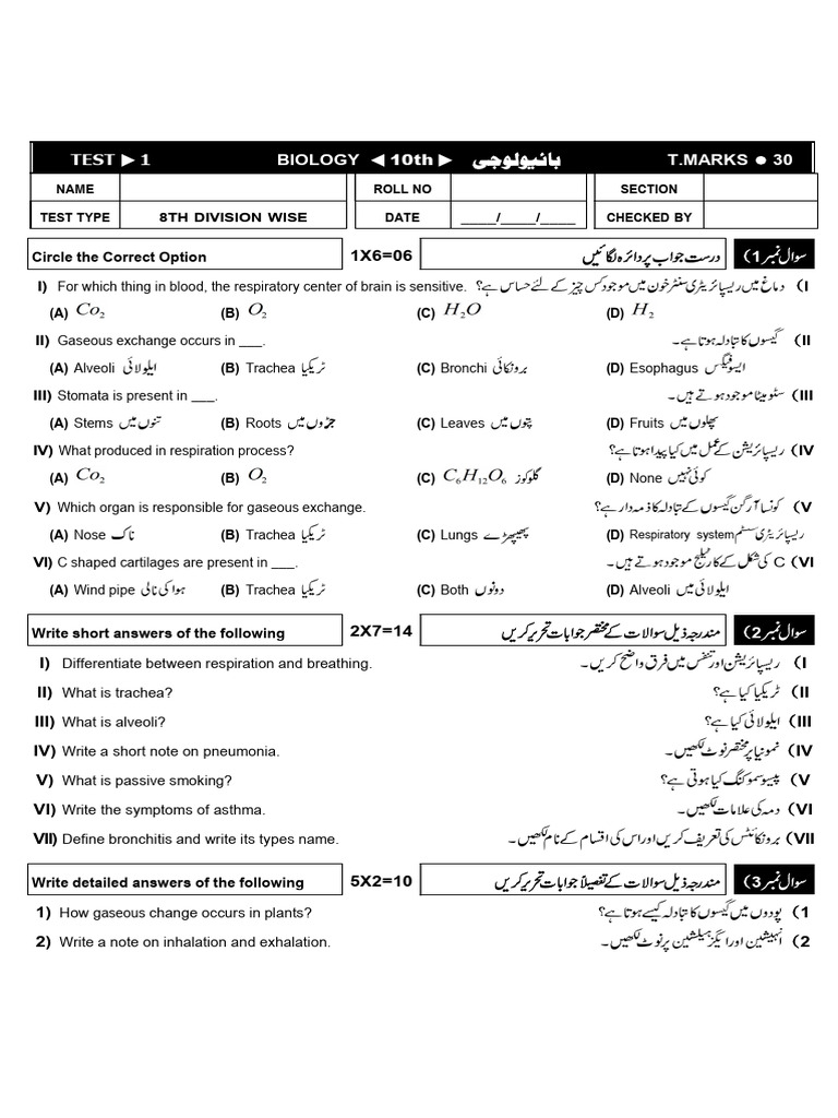 10th Class Biology Test Paper 1 | PDF | Respiratory System | Respiration