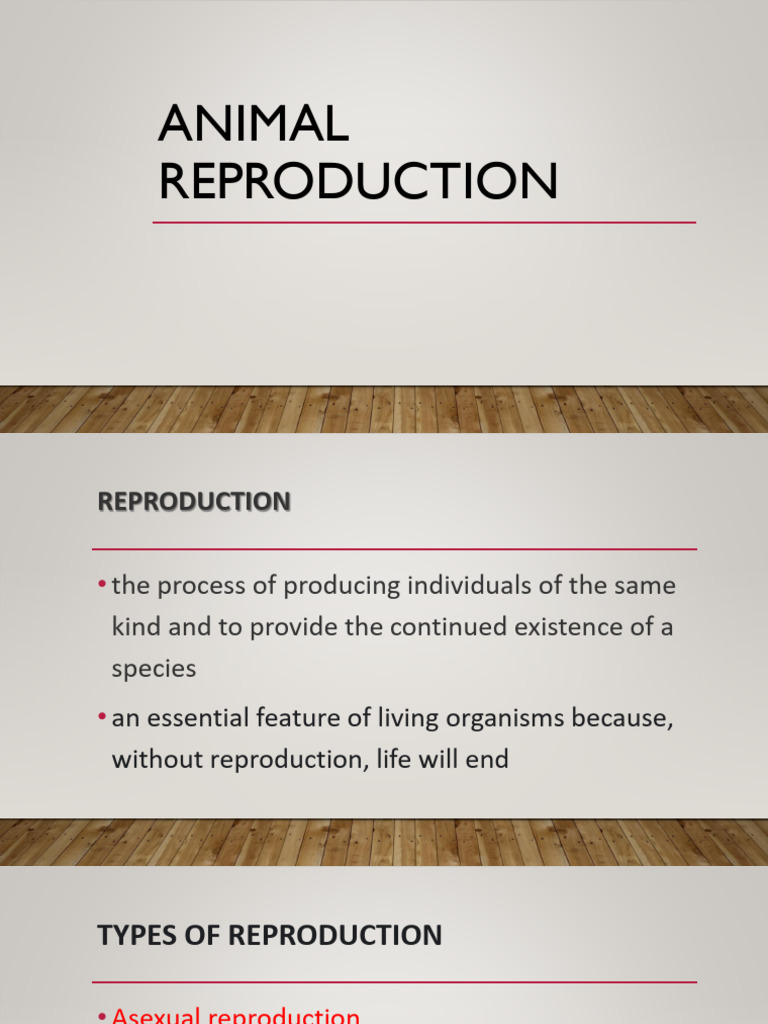 Animal Reproduction | PDF | Egg | Sexual Reproduction