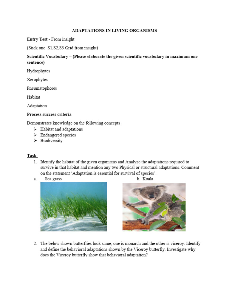 Adaptations in Living Organisms | PDF | Home & Garden | Wellness