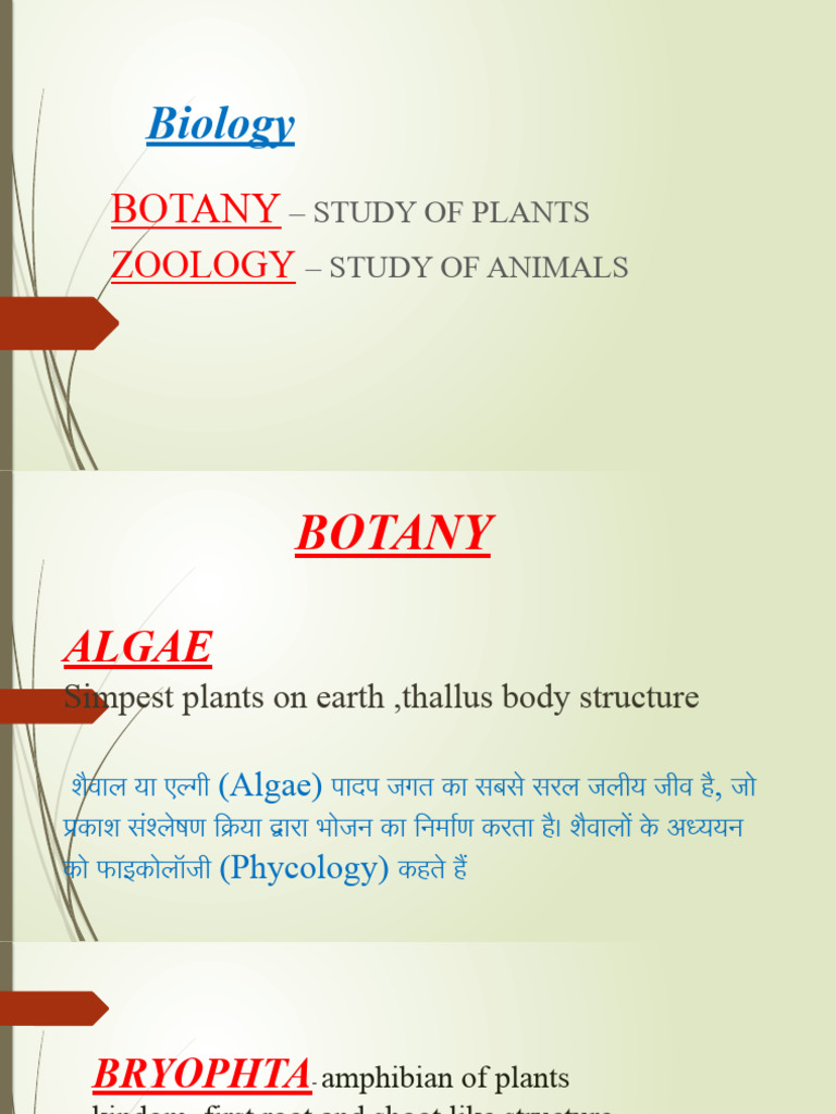 Botany 1 | PDF