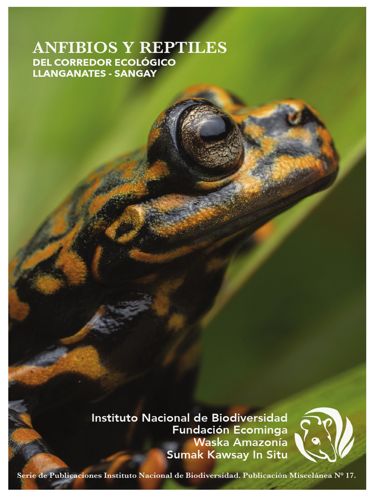 Anfibios y Reptiles Cels | PDF | Ciencia y matemáticas