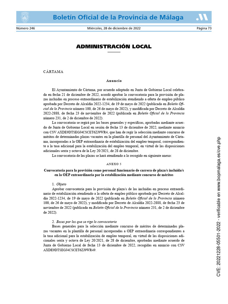 Bop Num. 246 28.12.2022 Convocatoria Funcionario Meritos Anexo 5 | PDF | Gobierno