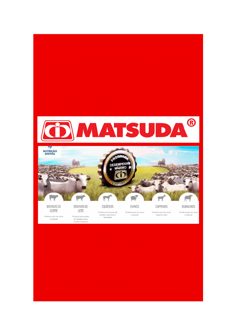 Matsuda 2023 | PDF | Tecnologia e Engenharia