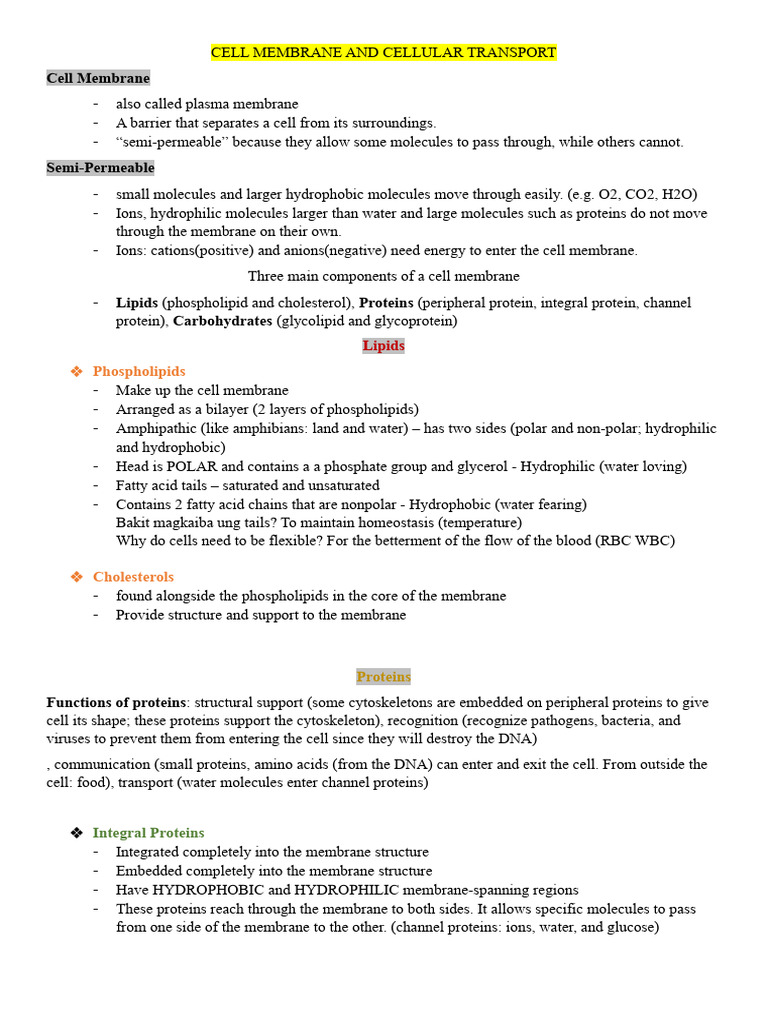 General Biology (Grade 11 STEM - 1st Semester) | Download Free PDF ...