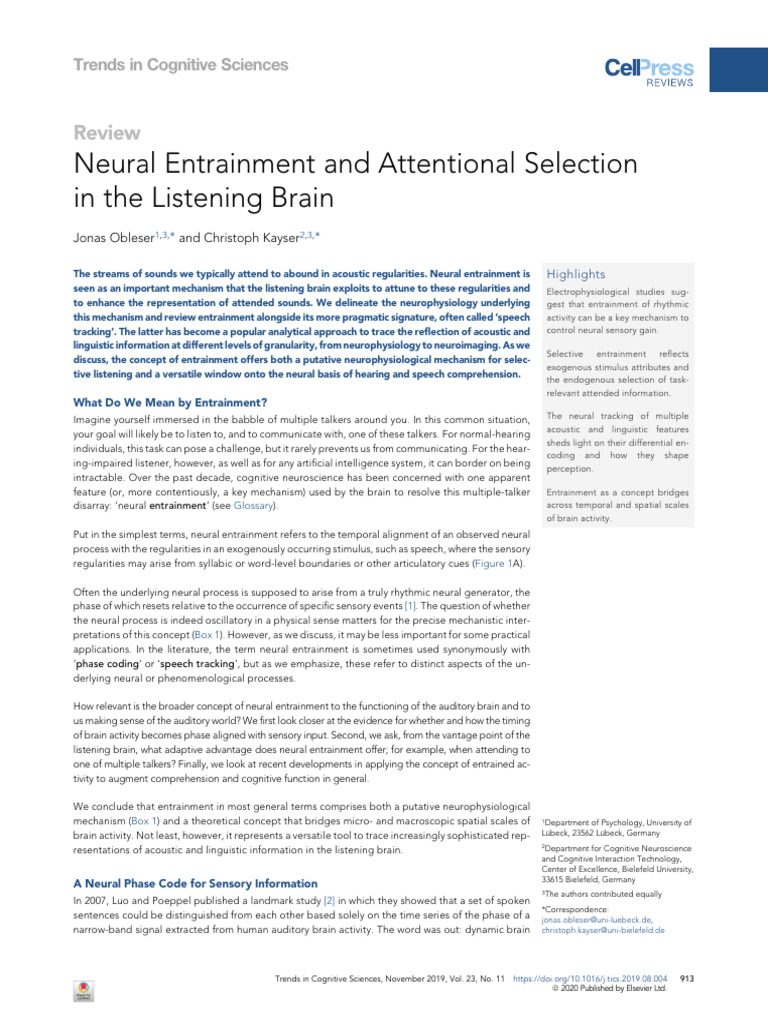 Neural Entrainment and Attentional Selection | Download Free PDF | Neural Oscillation | Perception