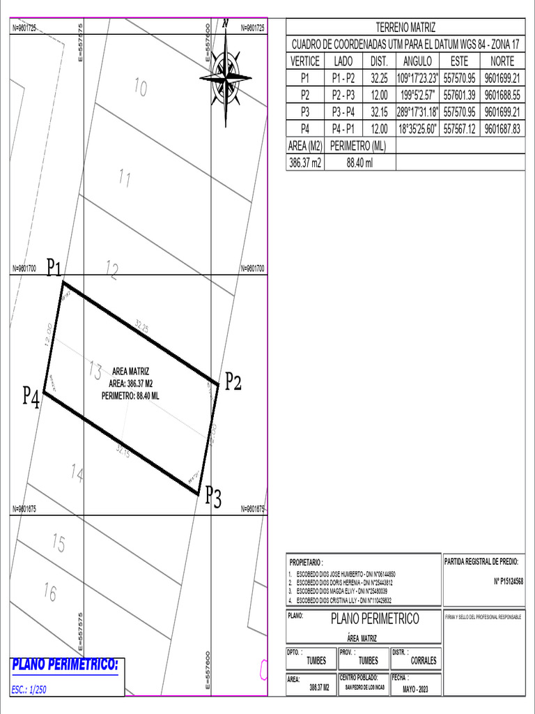 PLANO MATRIZ | PDF | Geodesia | Cartografía