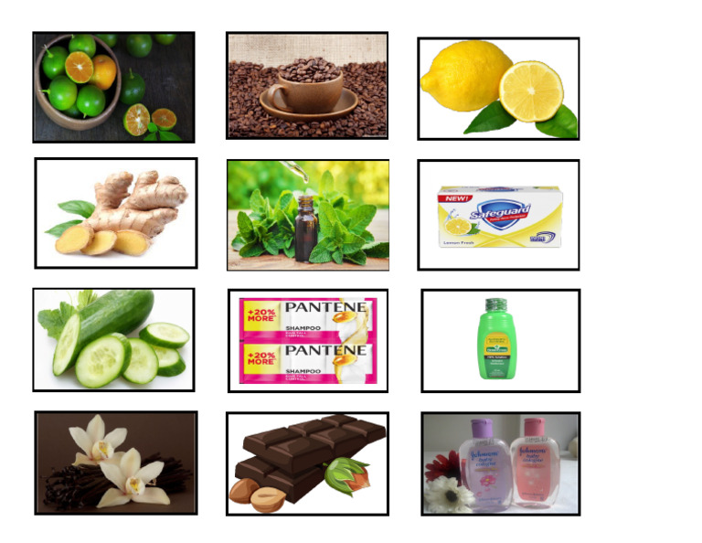 Smelling Bottles | PDF