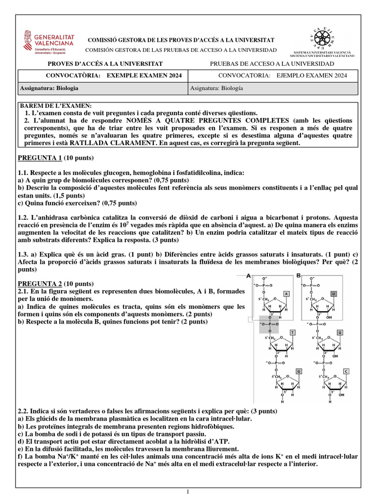 Biol Ejemplo Examen Pau 2024 | PDF