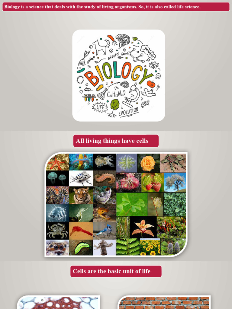 The Cell Grade 7 | PDF | Cell (Biology) | Organisms