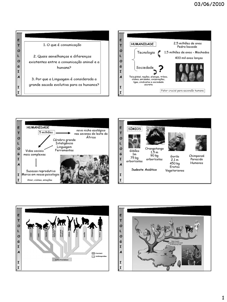 Slides Eto II 5 | PDF