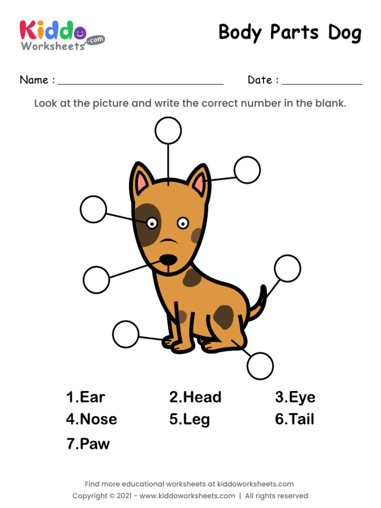 Label The Body Parts of Dog Worksheet | PDF | Games & Activities | Wellness