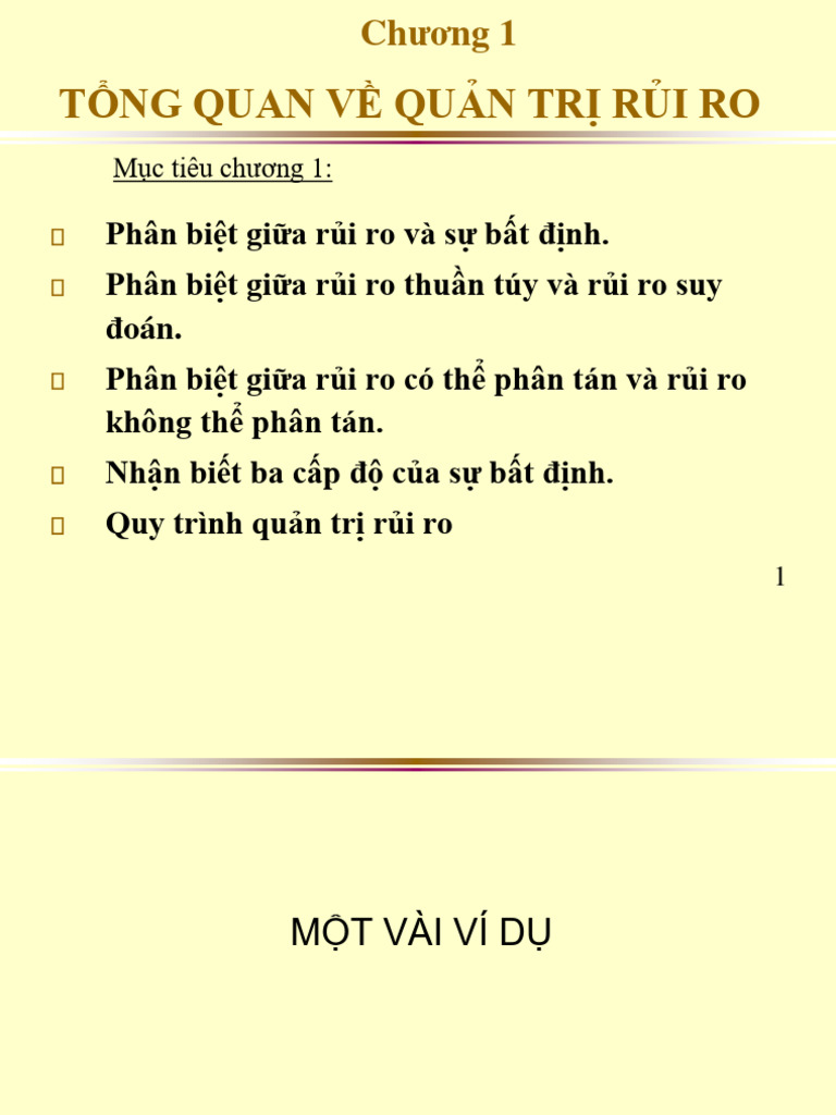 Chuong 1 Tong Quan Ve Quan Tri Rui Ro Trong Kinh Doanh | PDF