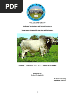 Bees Keeping Project Proposal | PDF | Honey Bee | Beekeeping