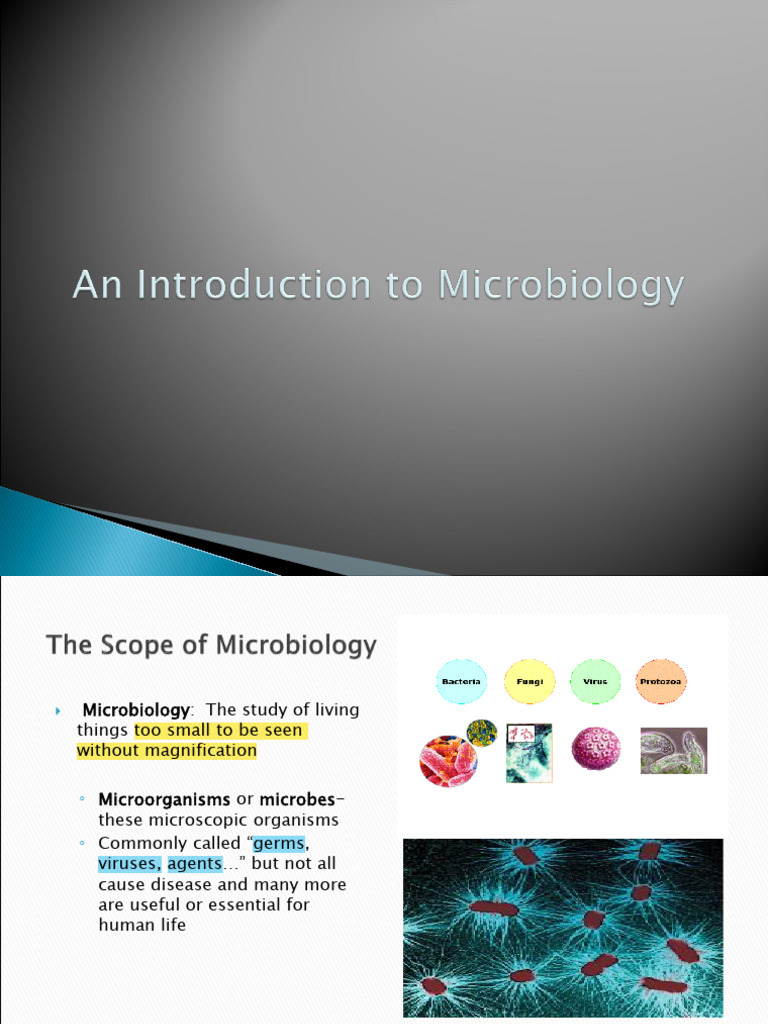 An Introduction To Microbiology | PDF | Microorganism | Bacteria