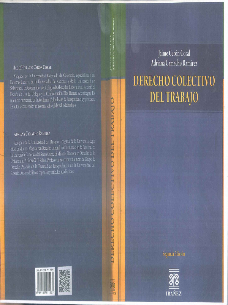 Libro Derecho Colectivo Del Trabajo Segunda Edici N 1 | PDF