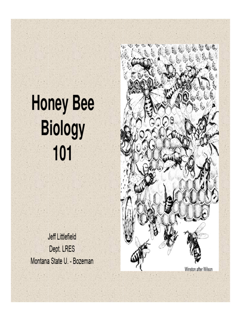 Honeyqueenbiology | PDF | Honey Bee | Beehive