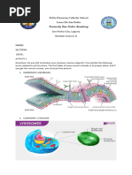 Xi - Biology - Work Sheet - Competency Based QNS | PDF | Cell Membrane | Nucleotides