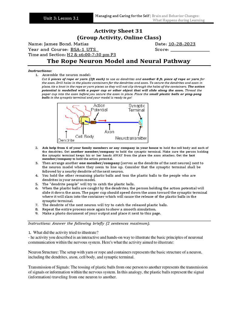 Act.31 Matias | PDF | Synapse | Neuron