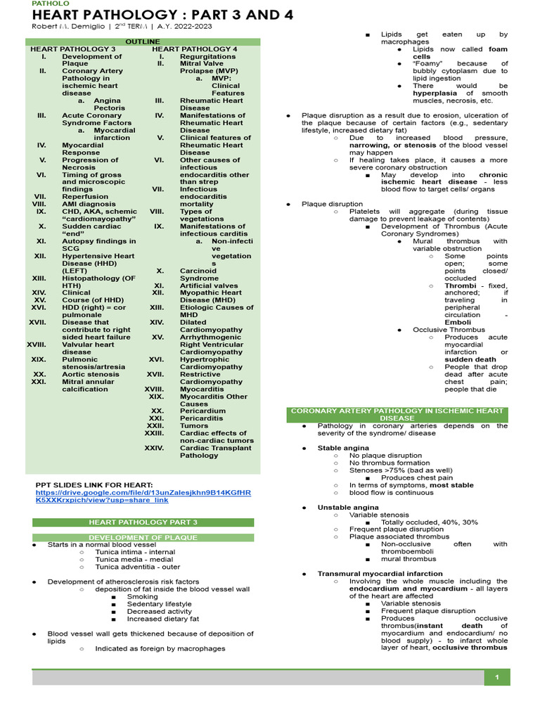 08 Heart Pathology (Part 3 and 4) | PDF | Myocardial Infarction | Heart
