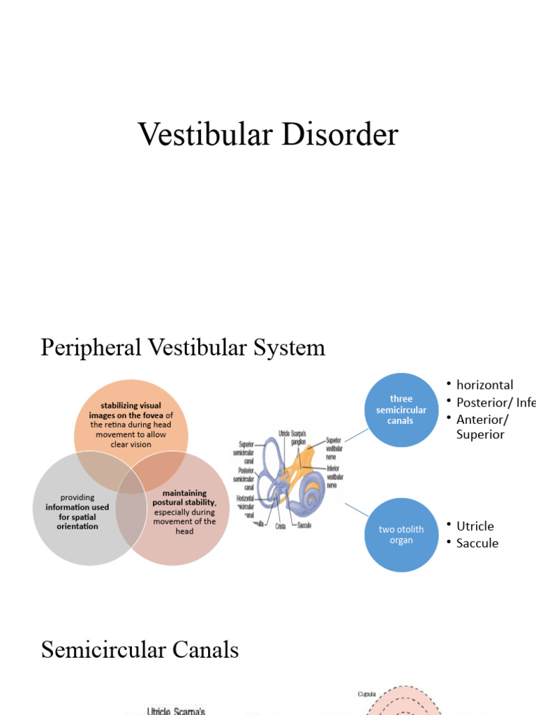 Vestibular Disorder | PDF | Vestibular System | Vertigo
