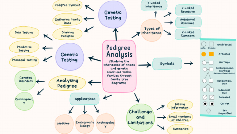 Yellow Colorful Organic Mind Map Brainstorm | PDF