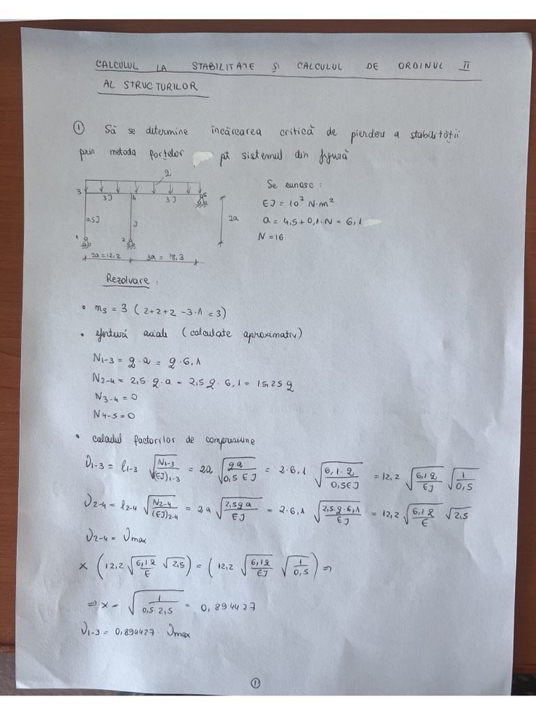 Probleme Musteata Patricia | PDF