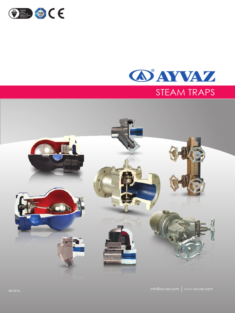 Ayvaz Steam Traps Book | PDF | Valve | Steam